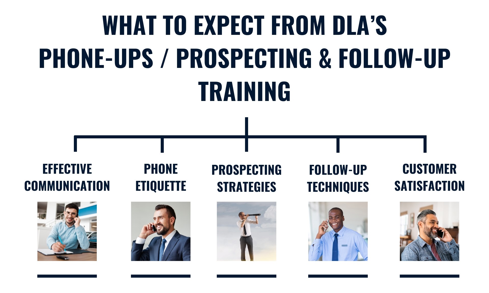 David Lewis & Associates